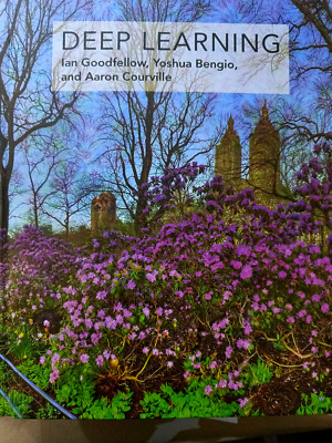 Deep Learning by Yoshua Bengio,Ian Goodfellow, A Courville,ISBN ...