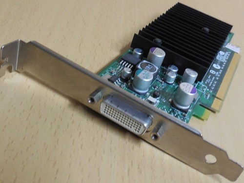 Dell 0N4079 nVidia Quadro NVS 280 64MB DDR PCIe DMS-59 Grafikkarte passiv* g722 | eBay.de