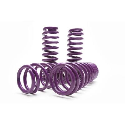 D2 Racing D-SP-DO-01 PRO Lowering Springs | eBay