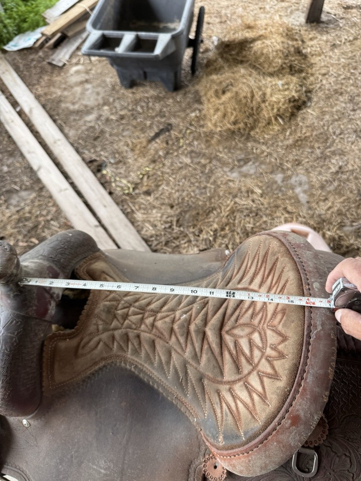 14.5” Martin Saddle With Rabe Rabón Calf Roping Tree | eBay