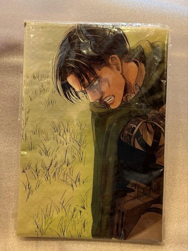 Foglio originale per il tempo libero Attack On Titan Levi | eBay