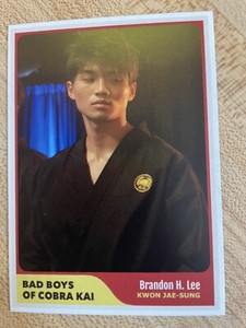 Howmar Collectible Cards | eBay Stores