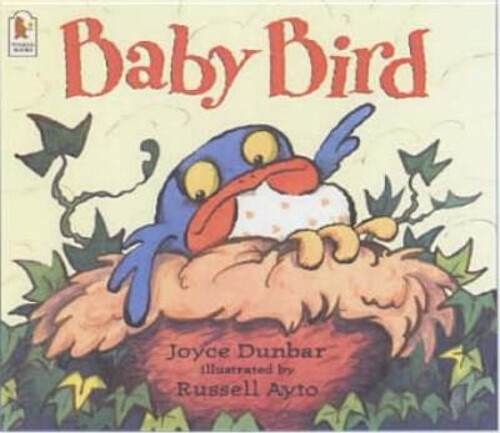 Livre De Poche Bébé Oiseau Joyce Dunbar 9781844284641 | eBay