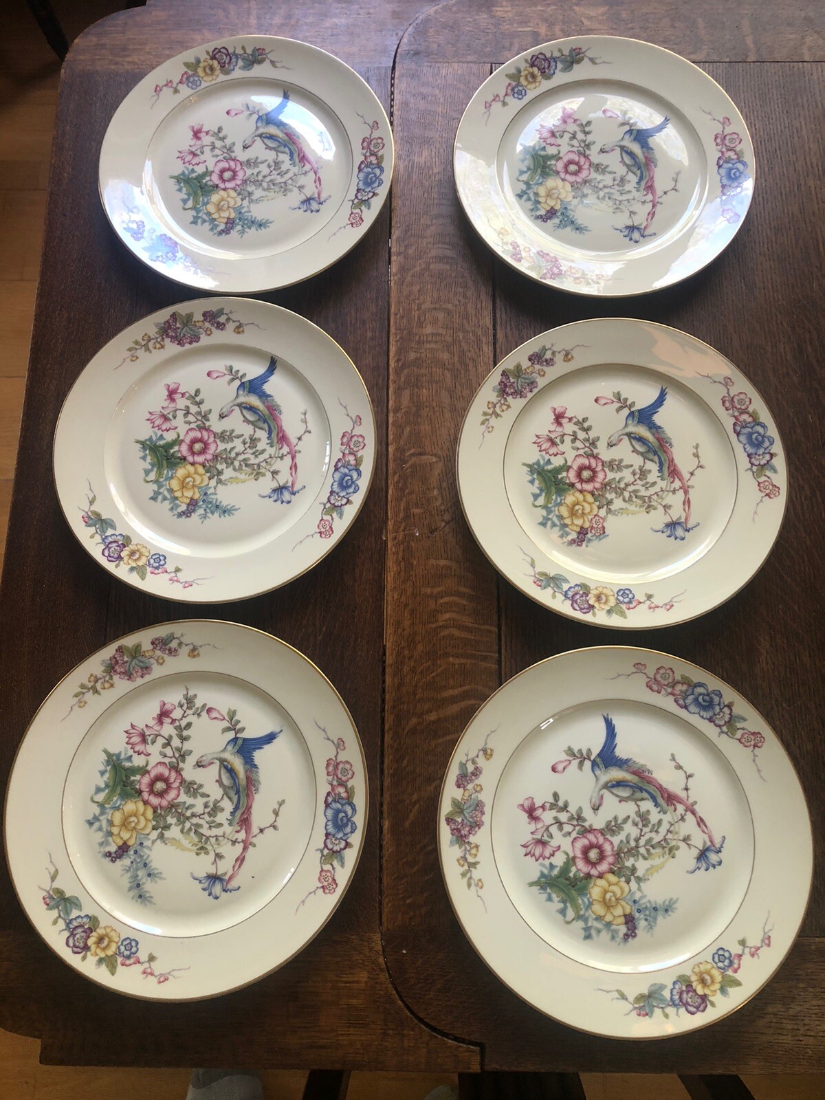 6 Rosenthal Phoenix Bone China 10 1/4 Dinner Plates #1 | eBay