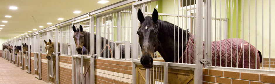 Snowflake Softchip High Performance Bedding, Shavings, Wood Chip 18 ...