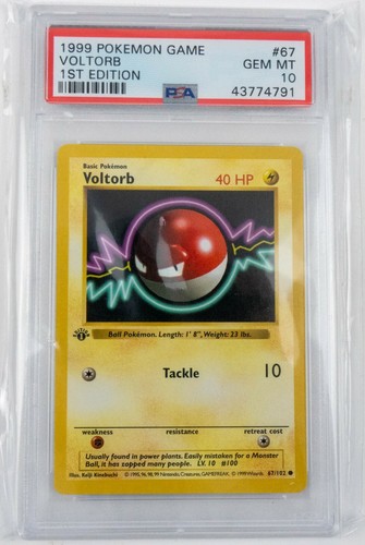 1999 Pokemon Game Voltorb 67 1st Edition PSA 10 GEM MINT | eBay