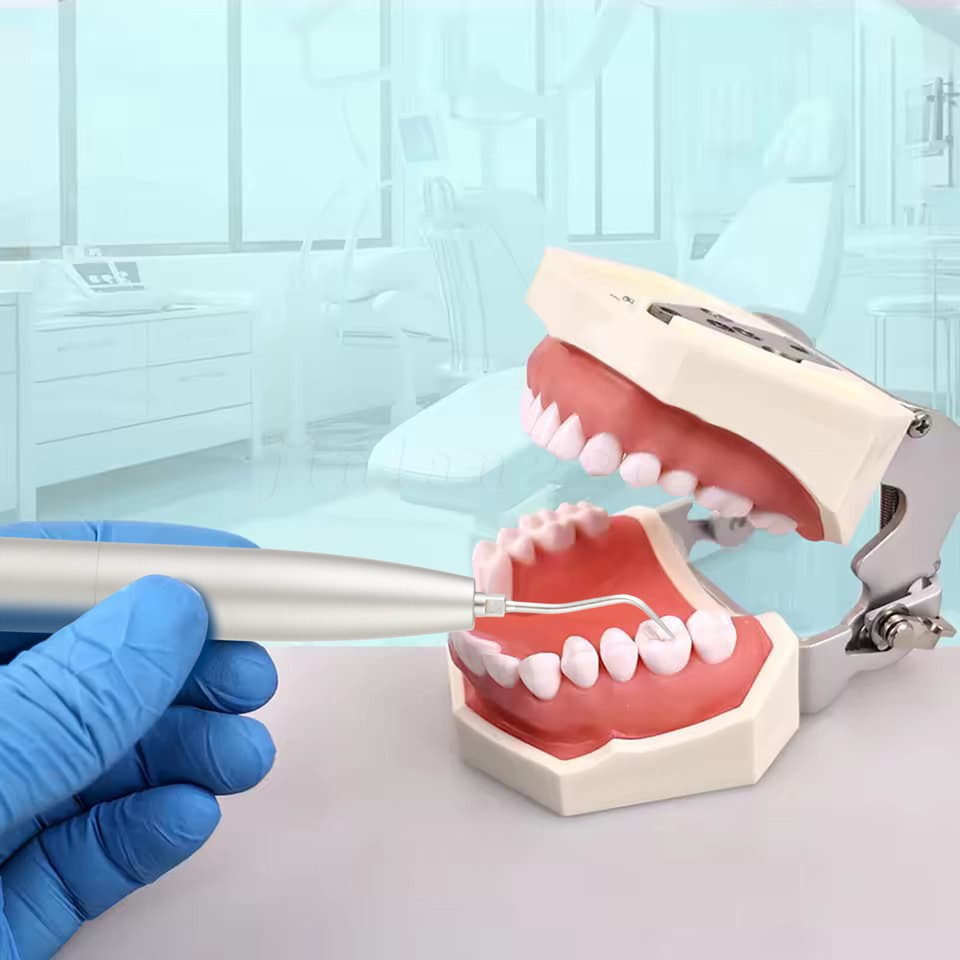 Dental Sonicflex Style Air Scaler Handpiece /Ultrasonic Air Scaler Tips ...