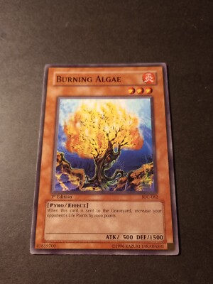 Yu-Gi-Oh! Burning Algae 1st Edition Common Card IOC-062 LP | eBay