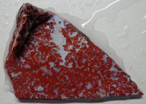 WRG- Rojo Picante Plume Agate Slab 37 grams Mexico Lapidary moss | eBay