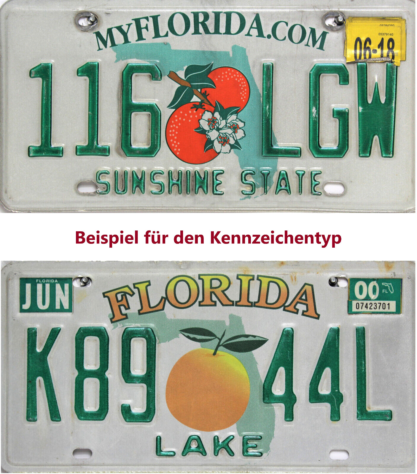 Florida Nummernschild Double Orange / Orange Original US License Plate ...