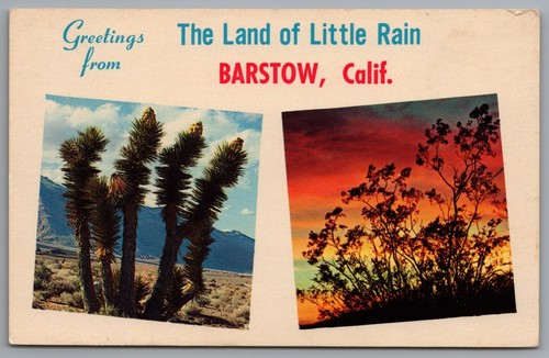 Greetings from Barstow CA The Land of Little Rain Jushua Tree Postcard ...