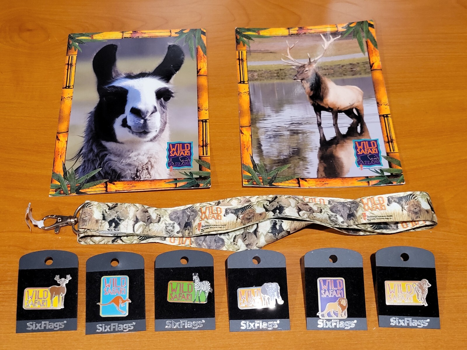 Set of Six Flags Wild Safari Pins & Lanyard | eBay