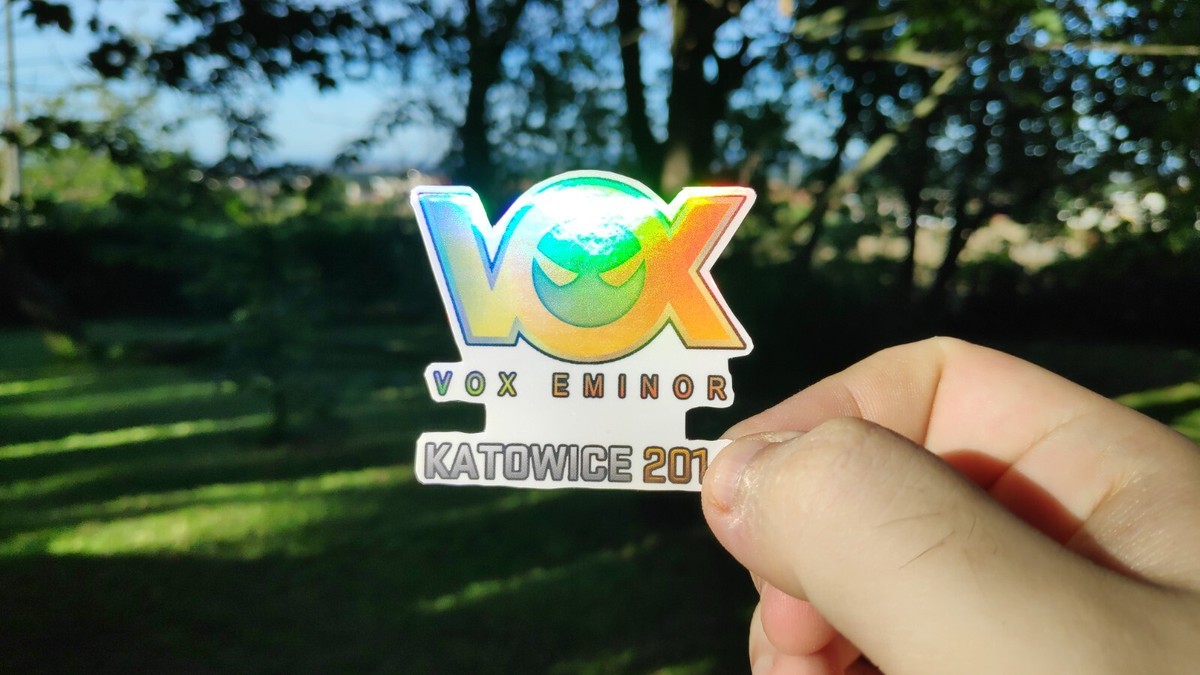 Vox Eminor Logo