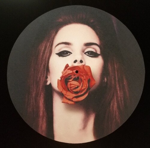 Lana Del Rey Rosa Vermelha Lana Del Rey Roses Bloom For You