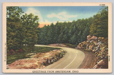 Postcard Greetings from Amsterdam Ohio, Road and Forest Scene | eBay