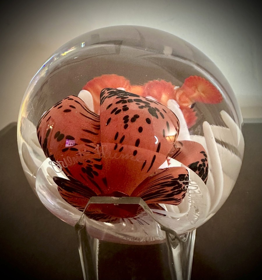 ORIENT & FLUME Bruce Sillars Clown Fish LE/250 Aquarium Large ...