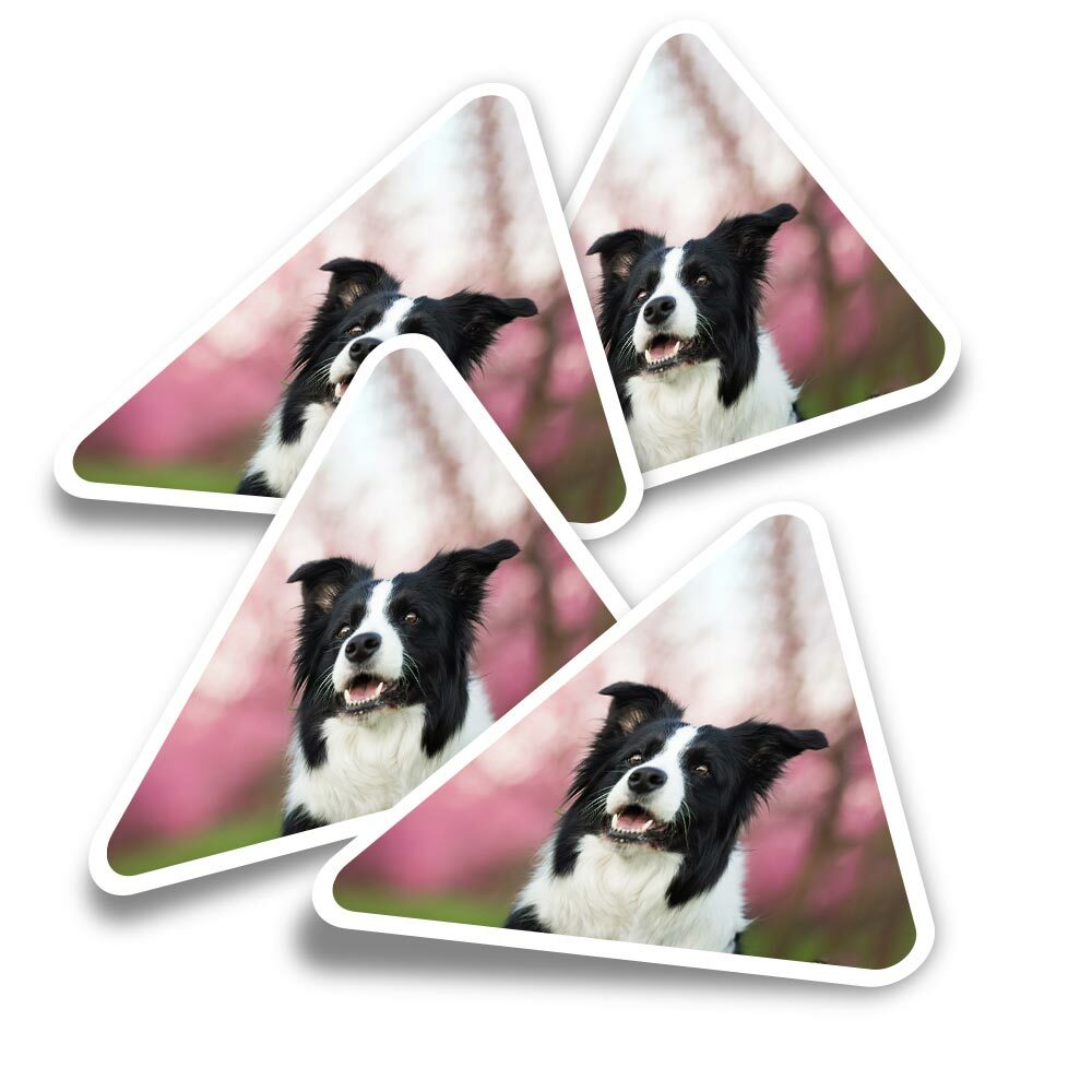 4x Triangle Stickers - Black & White Border Collie #21230 | eBay UK