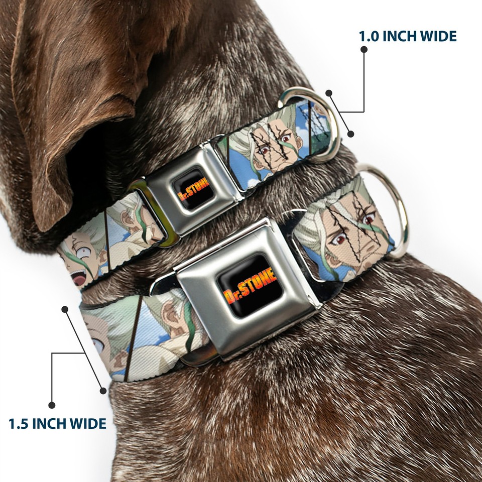 Dog Collar CDSA-DR. STONE Title Logo Full Color Black/Orange Dr. Sto ...