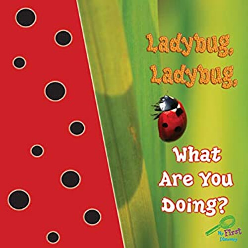 Ladybug, Ladybug, What Are You Doing? Board Books Joann Cleland ...