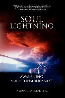 SOUL LIGHTNING: AWAKENING SOUL CONSCIOUSNESS by 9780595348114| eBay