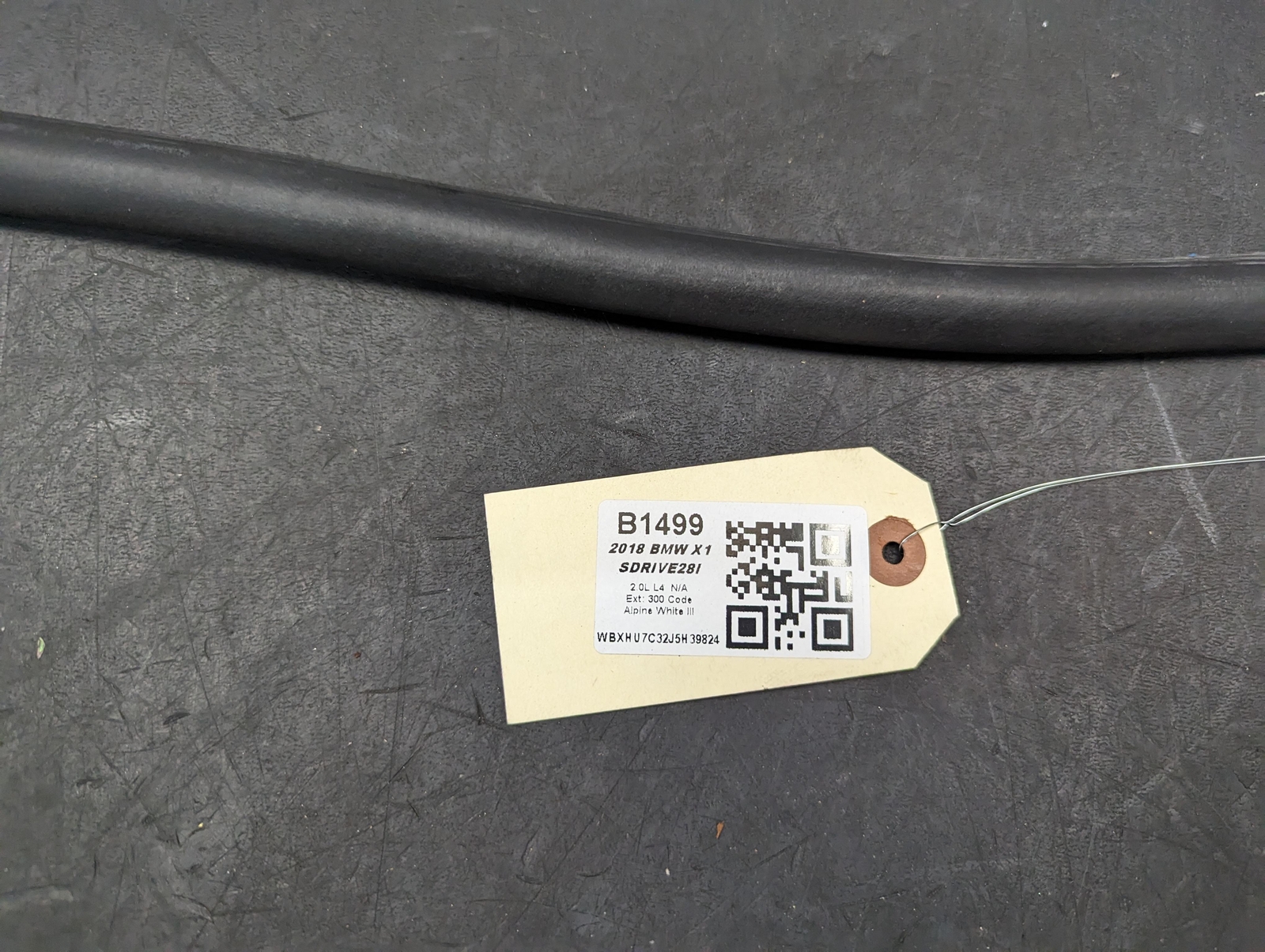 Rear Left Door Lower Weatherstrip 2018 BMW X1 51767349646 2016 2017 ...