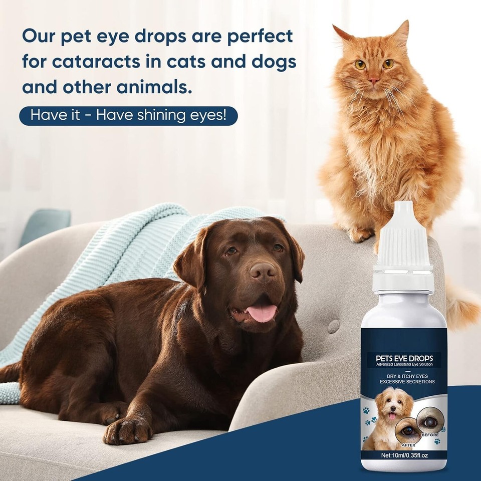 Cataract Drops for Dogs, Dog Eye Drops, Improve Vision Clarity, Improve ...
