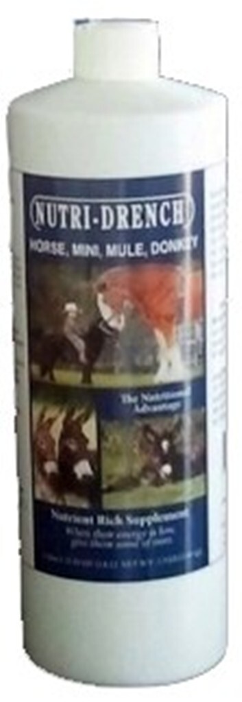 Equine Nutri Drench 32 Oz Nutritional Supplement Horse Mule Donkey for ...