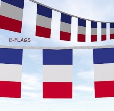 Rugby 6 Nations 10 Metre's 20 Flags France Flags Party Bunting Banner ...