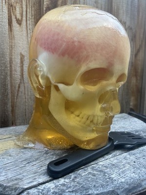 Ballistic Gel Head w/ Skull And Brain NO blood | eBay