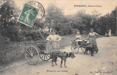 CPA 37 BOURGUEIL / MENAGERES AUX CHAMPS / ATTELAGE A CHIEN | eBay