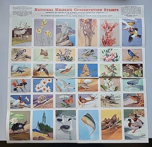 1951-SHEET OF 36- NATIONAL WILDLIFE FEDERATION CONSERVATION STAMPS. | eBay