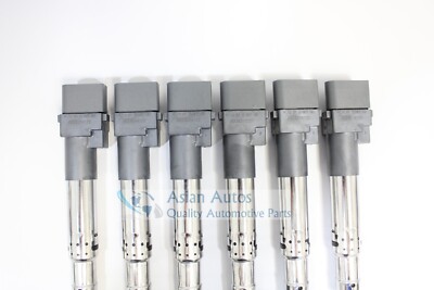 OEM Eldor Ignition Coils 6 x 022905715D For Volkswagen Touareg 3.2L 04 ...