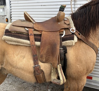 Capital Saddlery Rough out Roping saddle | eBay