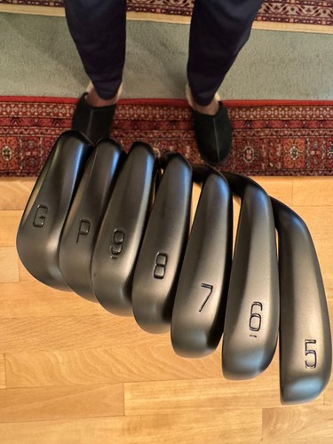 Mizuno JPX 925 Forged Black 5-GW w/ Dynamic Gold Mid 100 Regular Flex ...