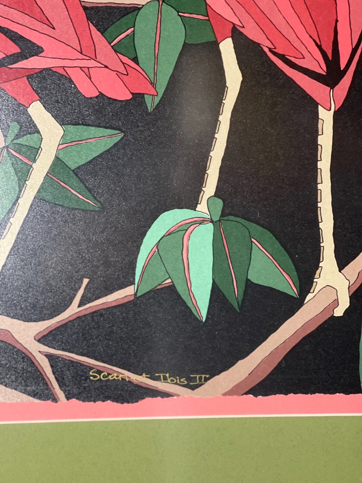 Dan Goad signed and numbered lithographs. Scarlet Ibis I and Scarlet ...