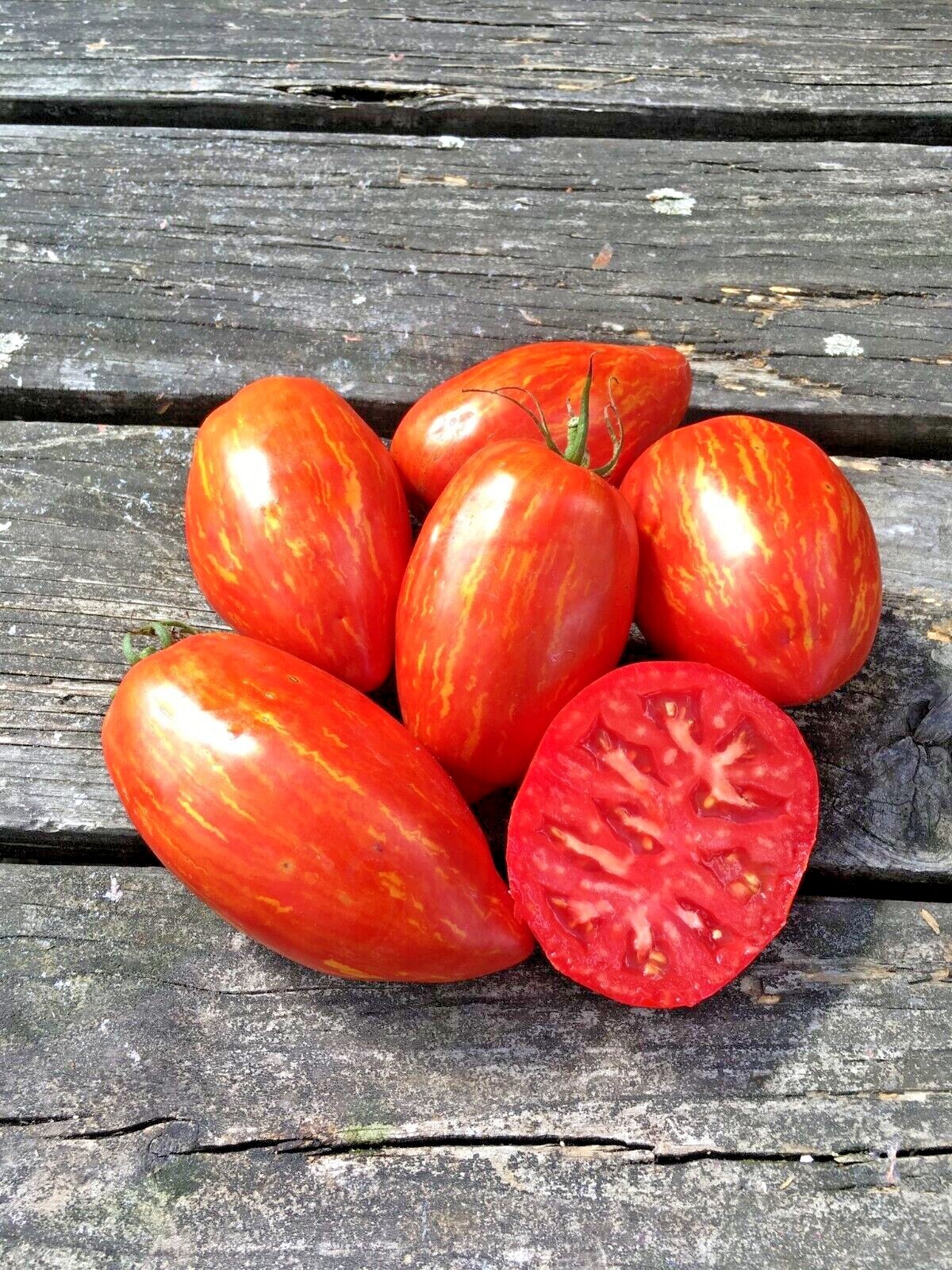 Fancy Tomato Seeds - All Canadian Seeds - Heirloom Non GMO | eBay
