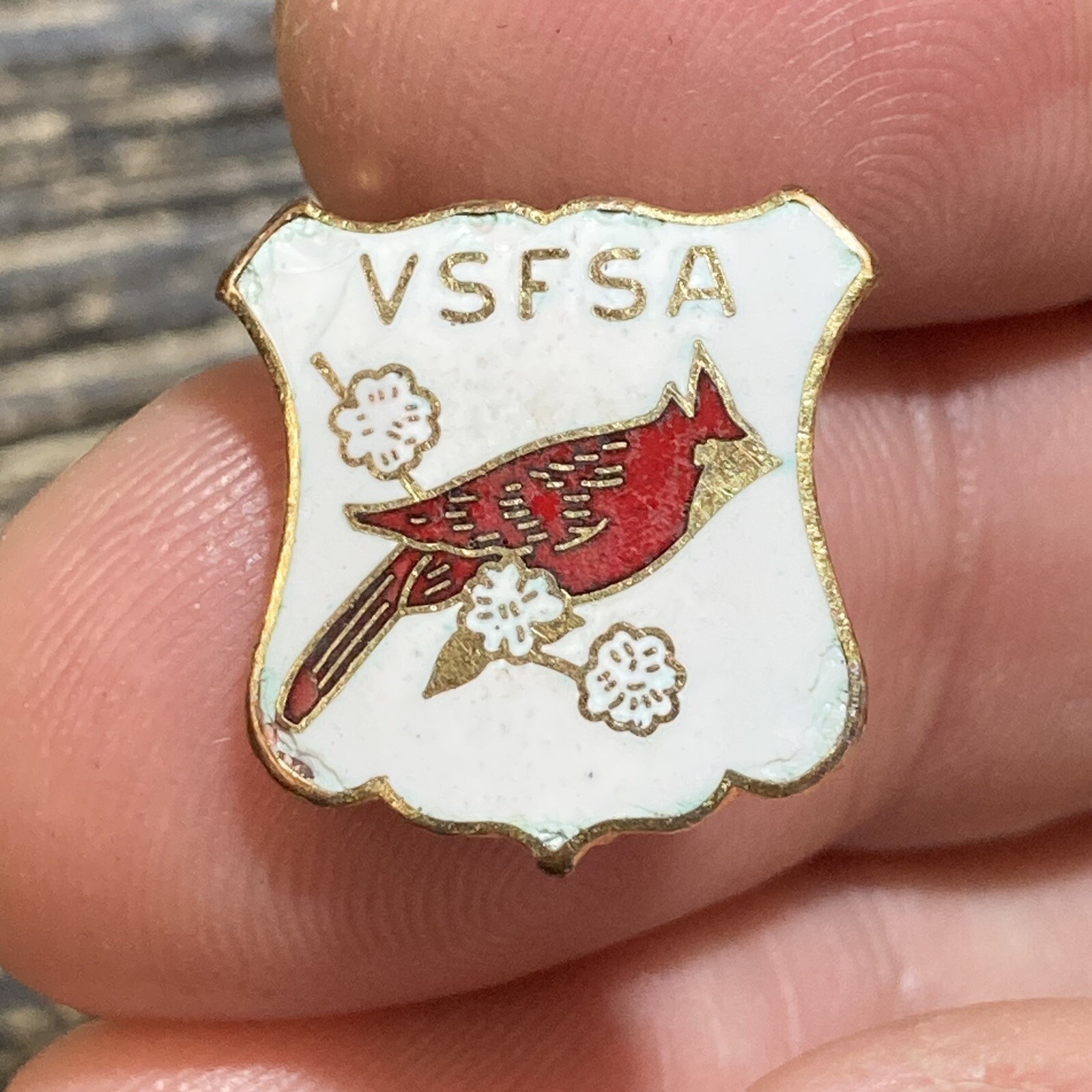 VSFSA Cardinal Lapel Pin Hat Vest EUC K497 | eBay