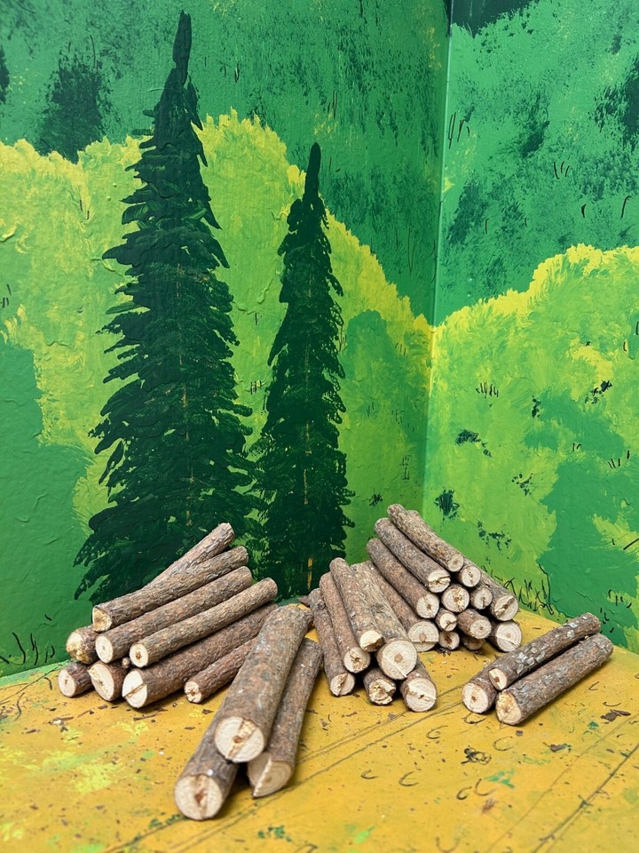 HO Scale Genuine Pine Log Load Shay Kadee Skeleton Log Car 4 Loads | eBay