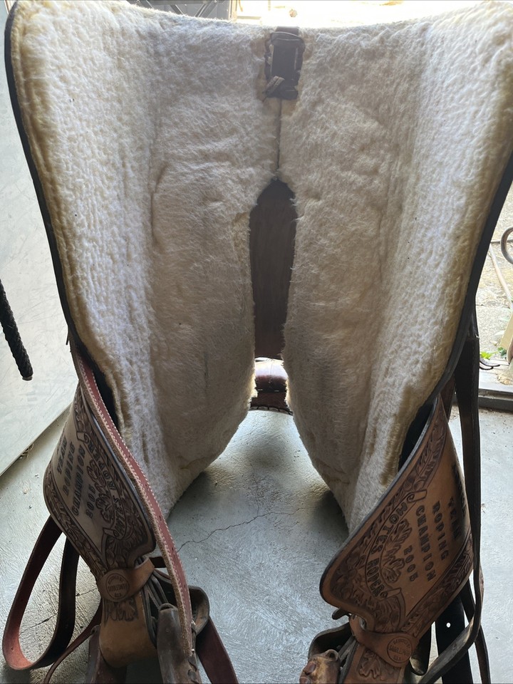 15.5 Saddlesmith David Motes Rope Saddle GORGEOUS | eBay