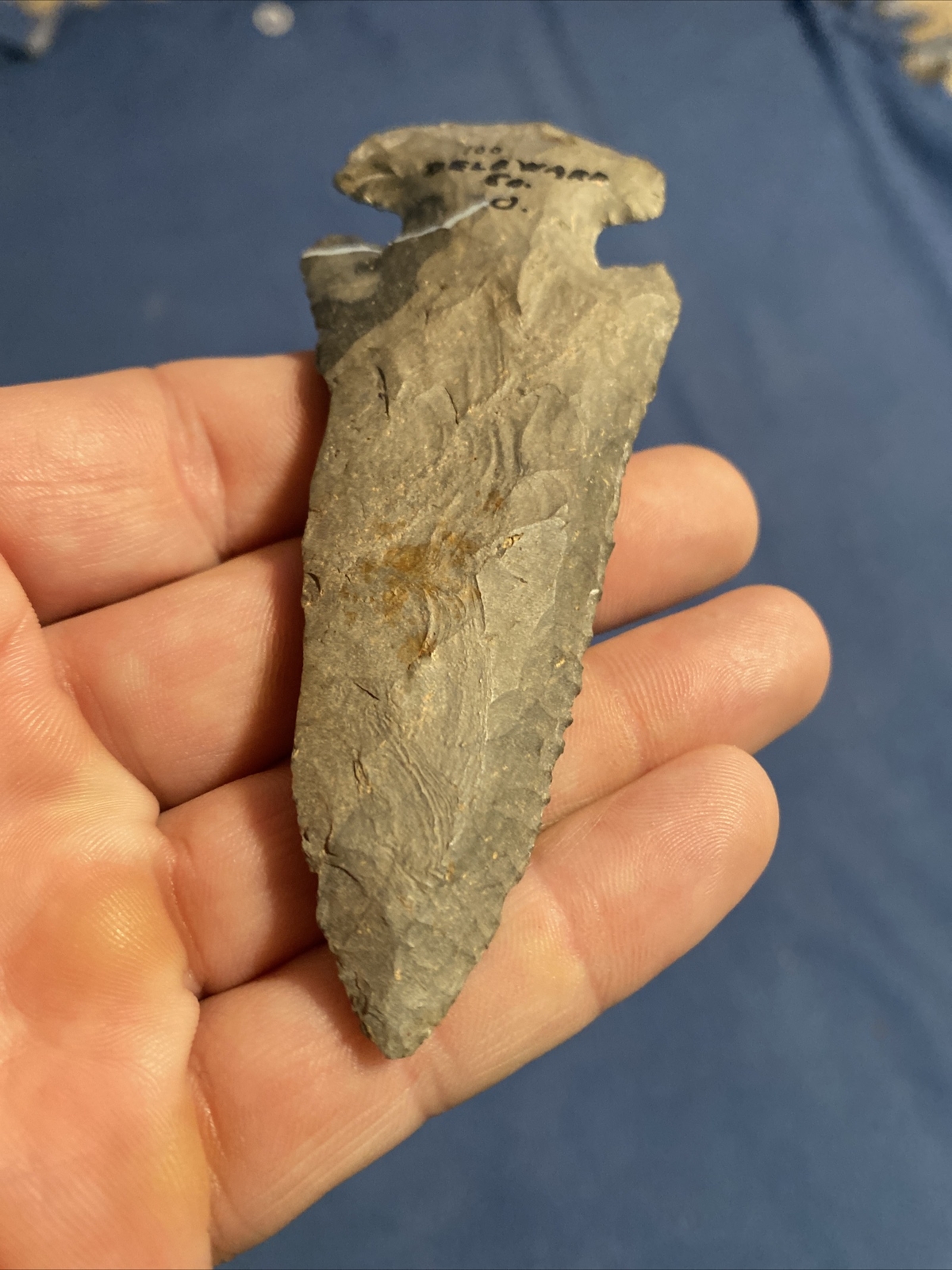 MLC s9659 Archaic Dovetail Thebes Bevel Arrowhead Delaware Co Ohio ...