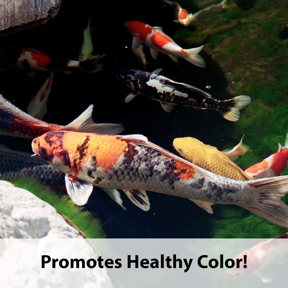 Choice Koi Floating Fish Food Goldfish All Seasons Vegetable Proteins ...