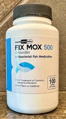 FOR FISH Aquariums & FISH Tanks Fix AMoxil 500mg/100 CT capsules | eBay