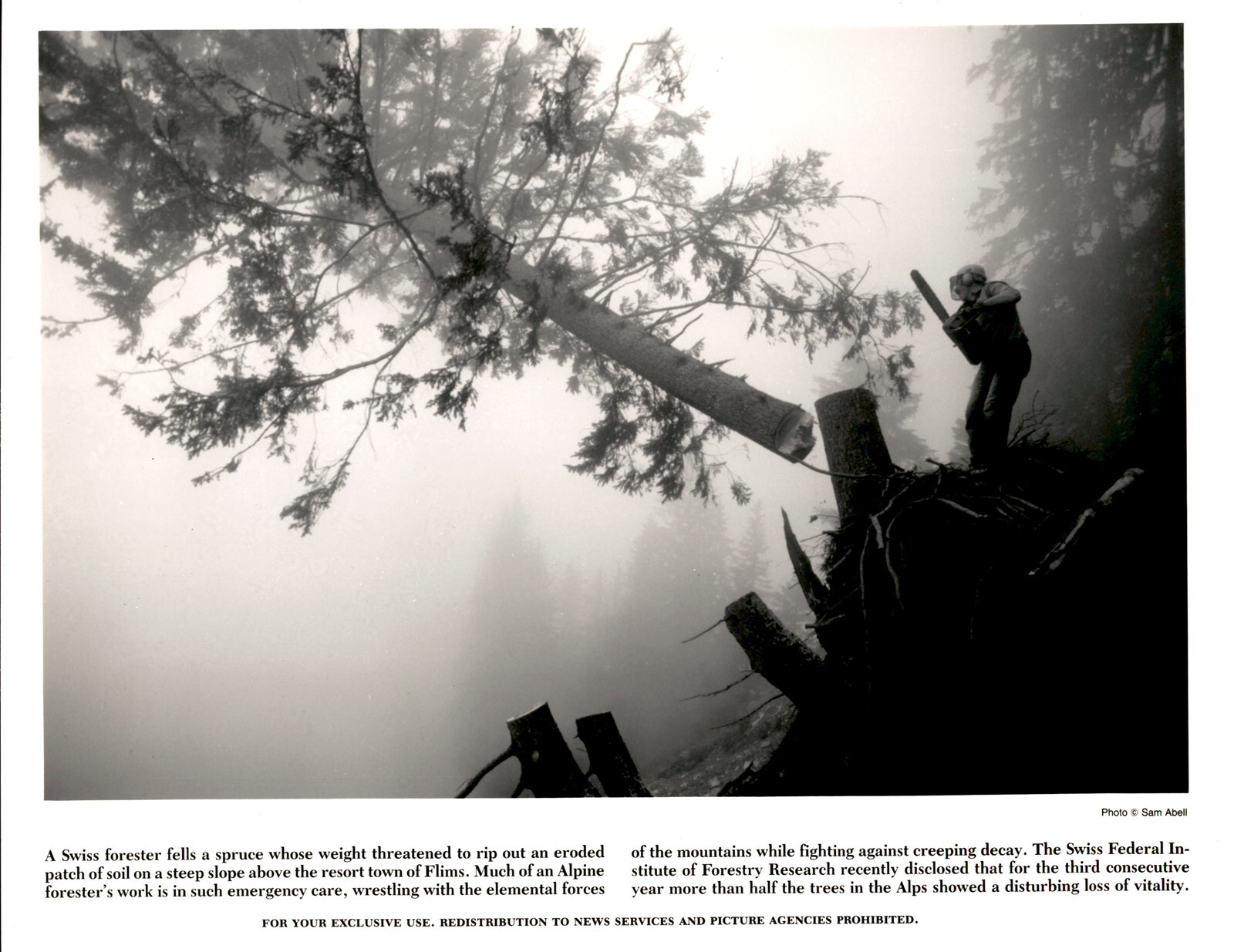 Sam Abell Photography