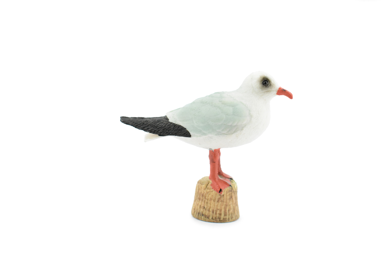 Seagull, Sea Gull, Realistic Toy Bird Figure, Model, Replica, 3.5 ...