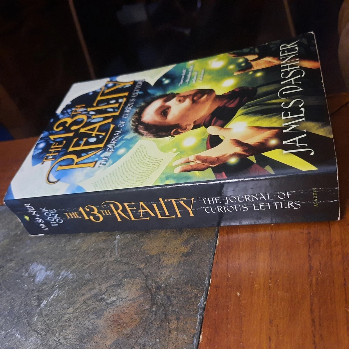 The 13th Reality The Journal Of Curious Letters