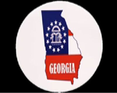 GEORGIA MAP SHAPED Oval SHAPED Bumper Sticker | eBay