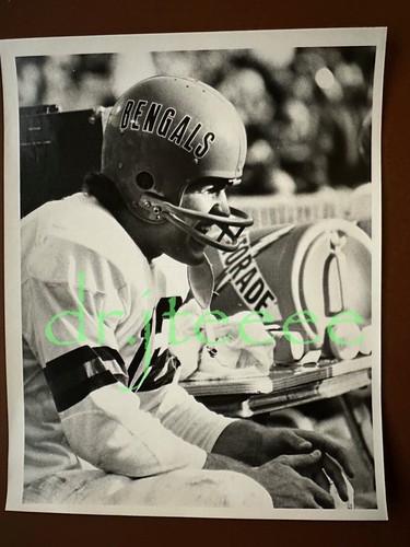 1969 Greg Cook CINCINNATI BENGALS - Type 1 Football Photo | eBay