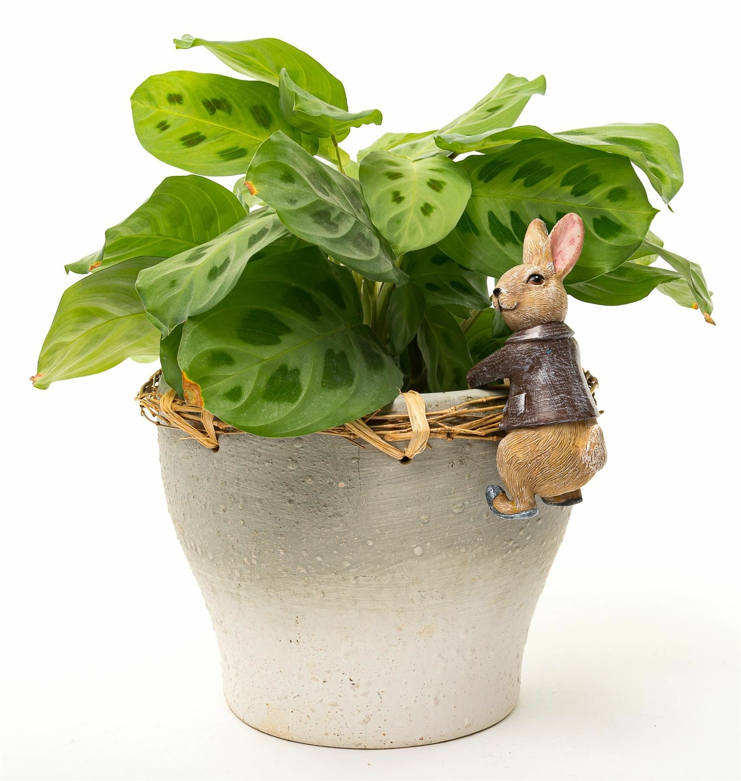 Pot Buddies Beatrix Potter Bunny Figure Plant Pot Hanger - Handmade ...