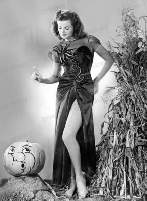 8x10 Print Barbara Hale Halloween Cheesecake Pin Up #9866 | eBay