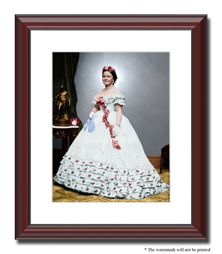 Mary Todd Lincoln woman wife inaugural 11x14" Framed Photo Color Civil ...